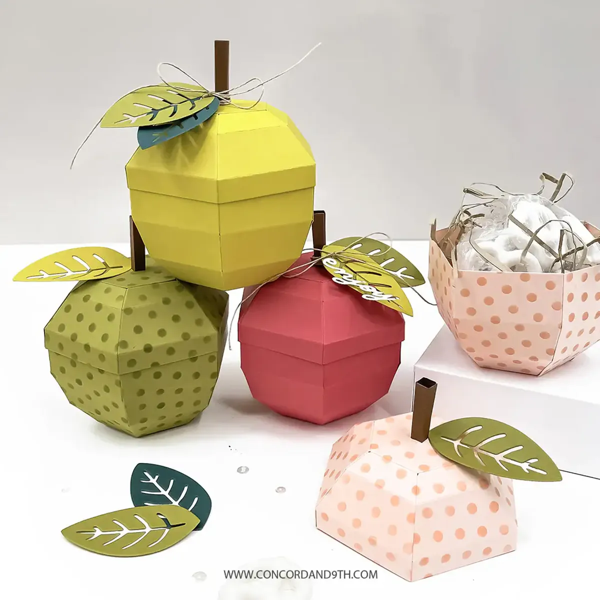 Concord & 9th Fall Favors Box Dies - Papiria